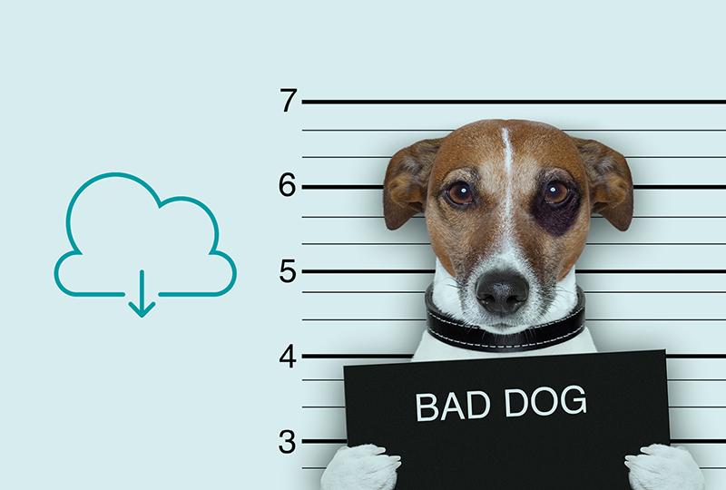 3 regulatory challenges for platforms - Challenge 2: Illegal content