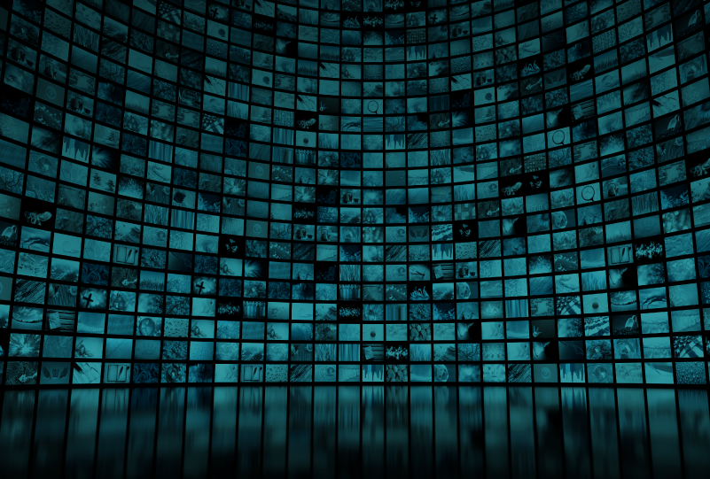Implementation of European Media Freedom Act: general overview in 12 EU ...